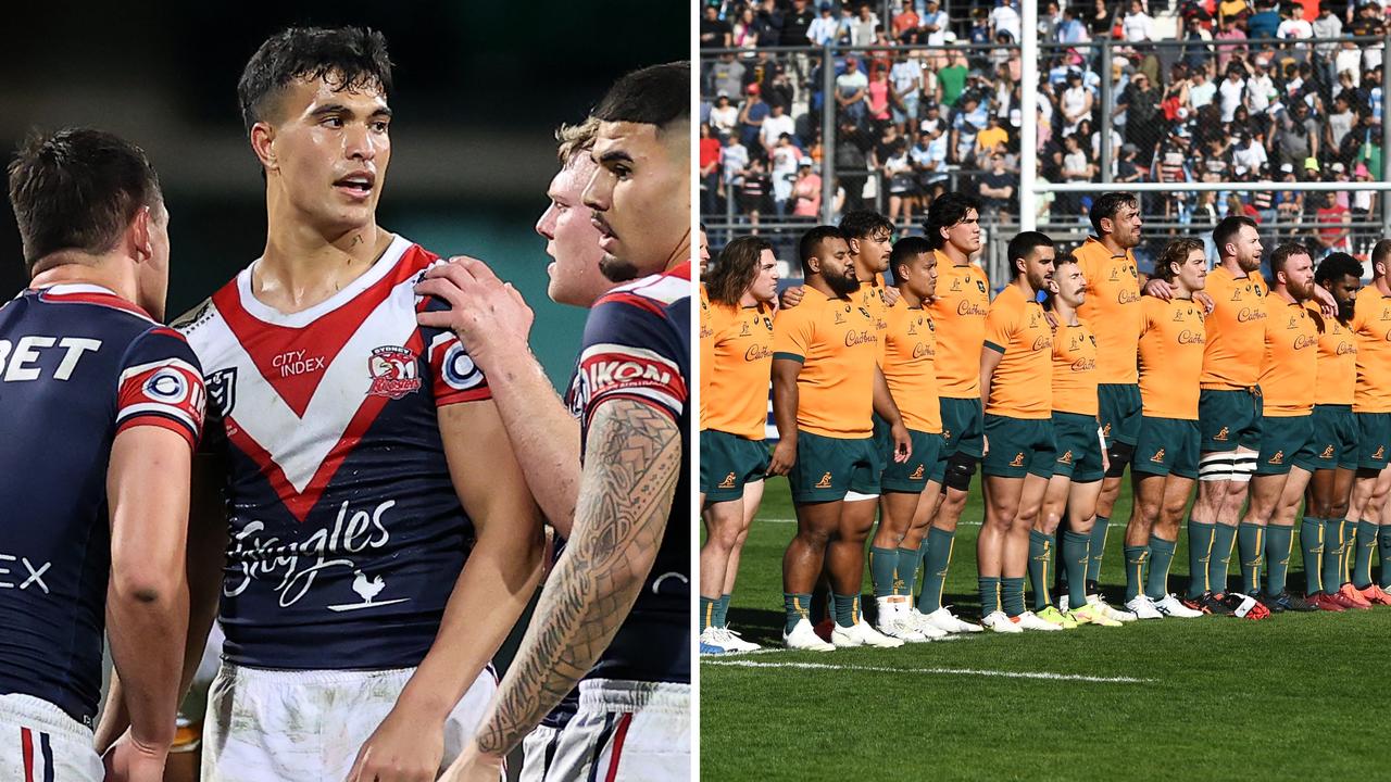 Sualii might not be a pipe dream | The Kennel Forum